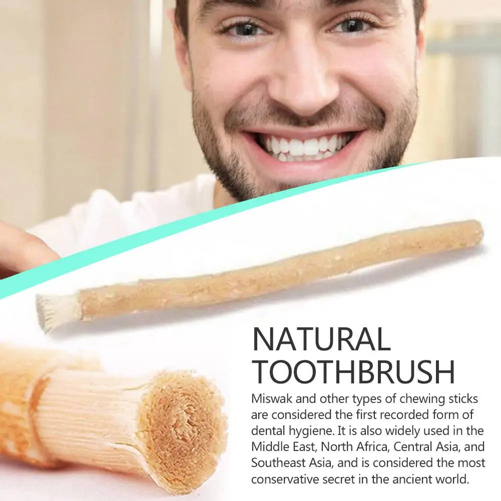 Miswak Natural Toothbrush – Traditional Siwak Arak Stick for Teeth ...